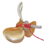 Propeller Line Cutter - Shaft Shark